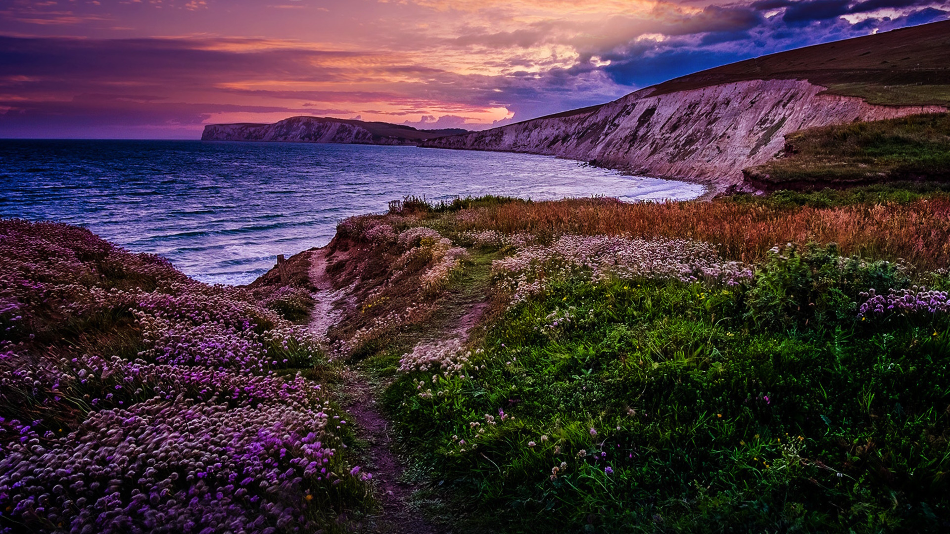 The Chale Bay Murders - Pauline Rowson